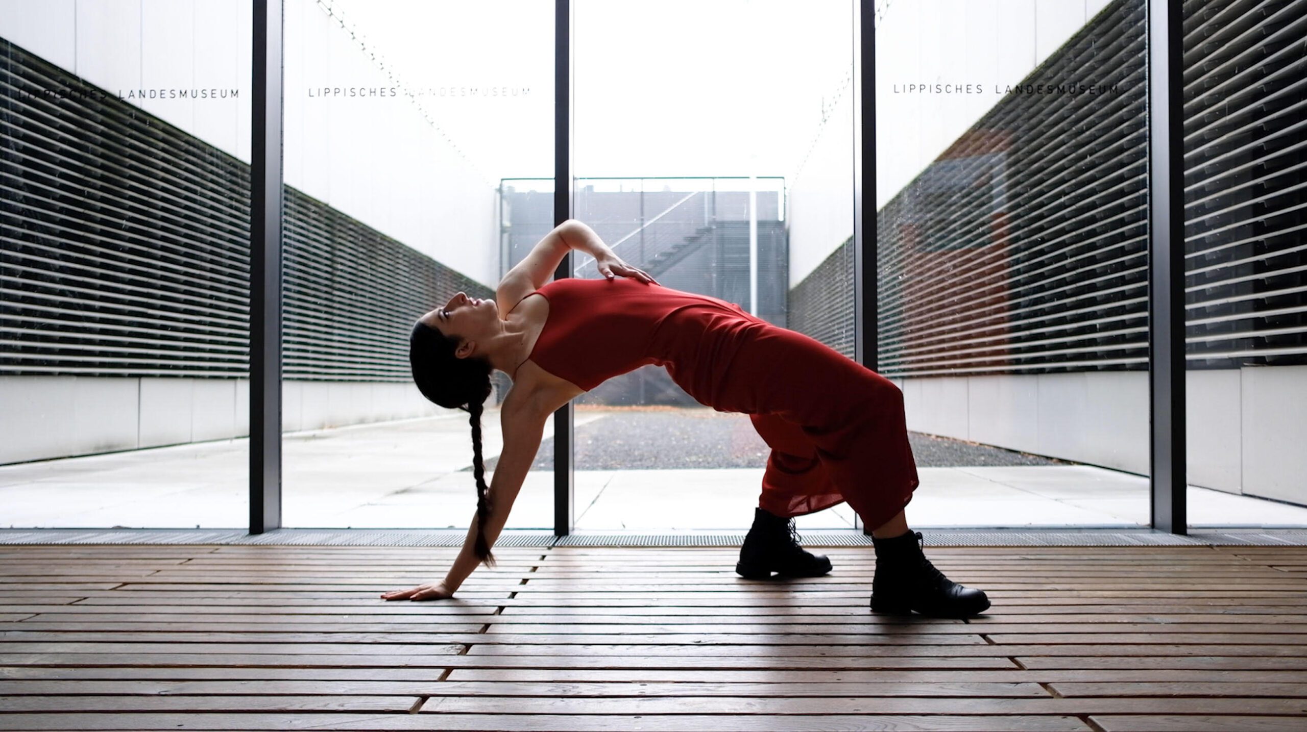 Chianini nel Mondo: intervista a Giulia Spinelli - La Valdichiana